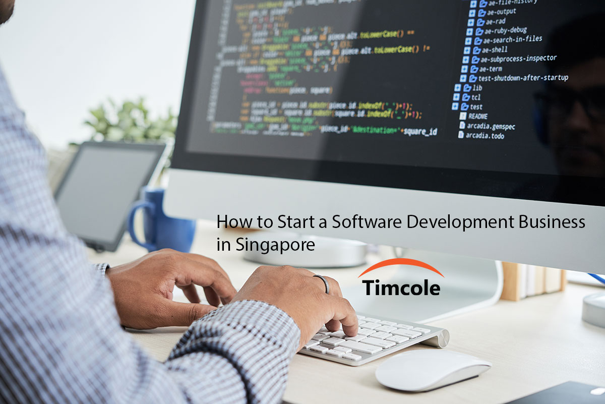 How to Start a Software Development Business in Singapore